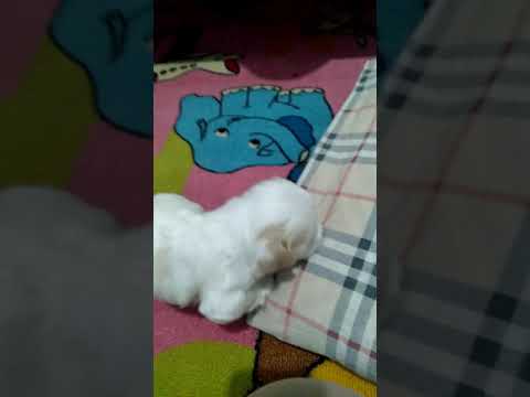 eslinin yaramazlıkları💋❤