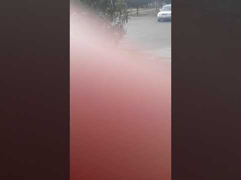 Suraxanı rayon Qaraçuxur bələdiyyəsinin sədri İxtiyar Nəcəfov vətəndaşdan qaçır