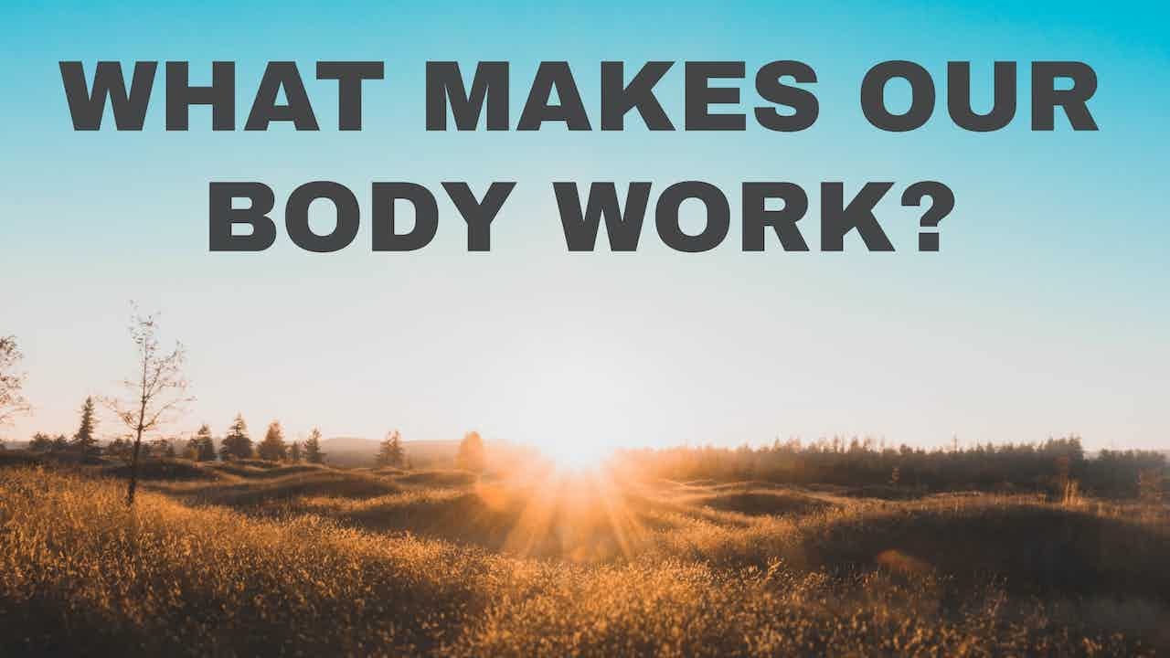 This Vitamin is the KEY to Optimum Body Health! - YouTube