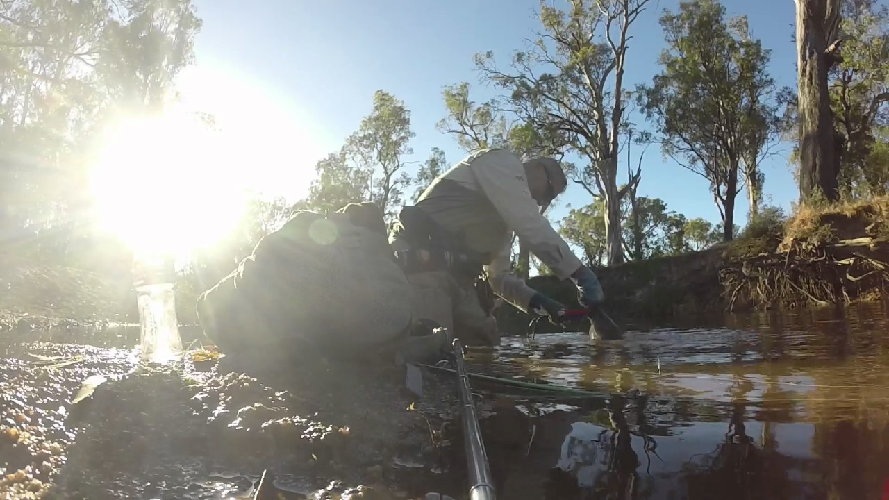 Land based cod session - YouTube