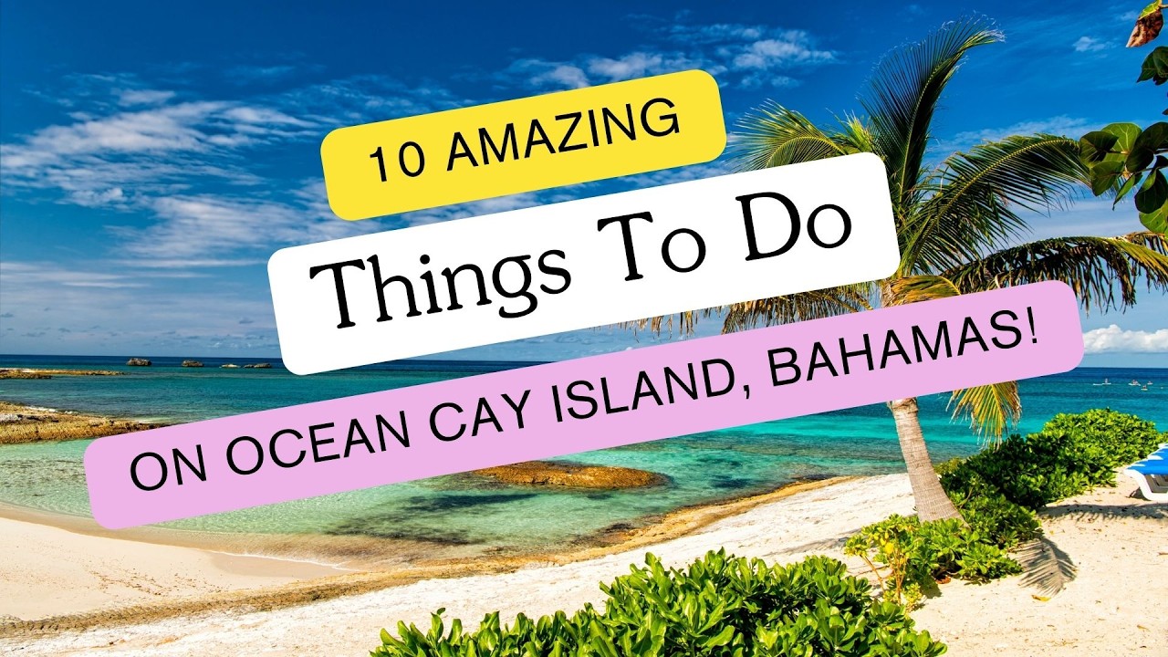 10 Amazing Things To Do in Ocean Cay, Bahamas | Ocean Cay MSC Marine ...