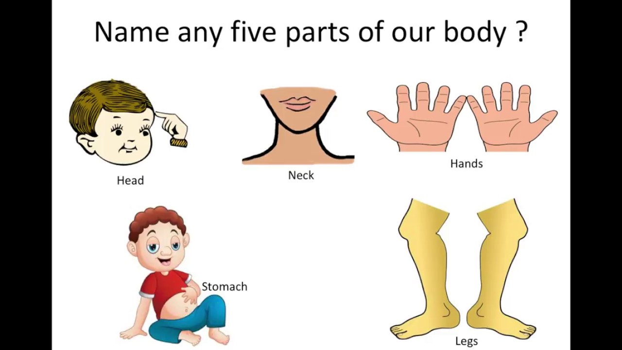 My Body : Prep Class - YouTube