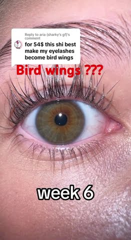 Bird wings or lashes ? #eyelash #beautyhacks #eyelashes #foryou #lashes ...