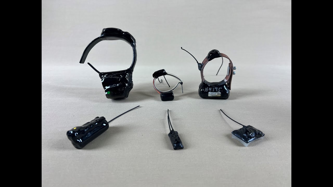 Wildlife GPS Overview, Telemetry Solutions GPS: Empowering Biologists ...