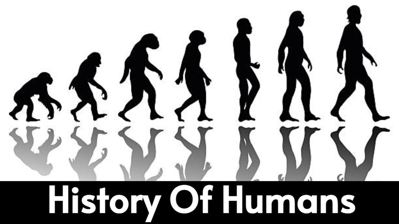 The Dawn of Humankind: The Most Important Discovery in Human History ...