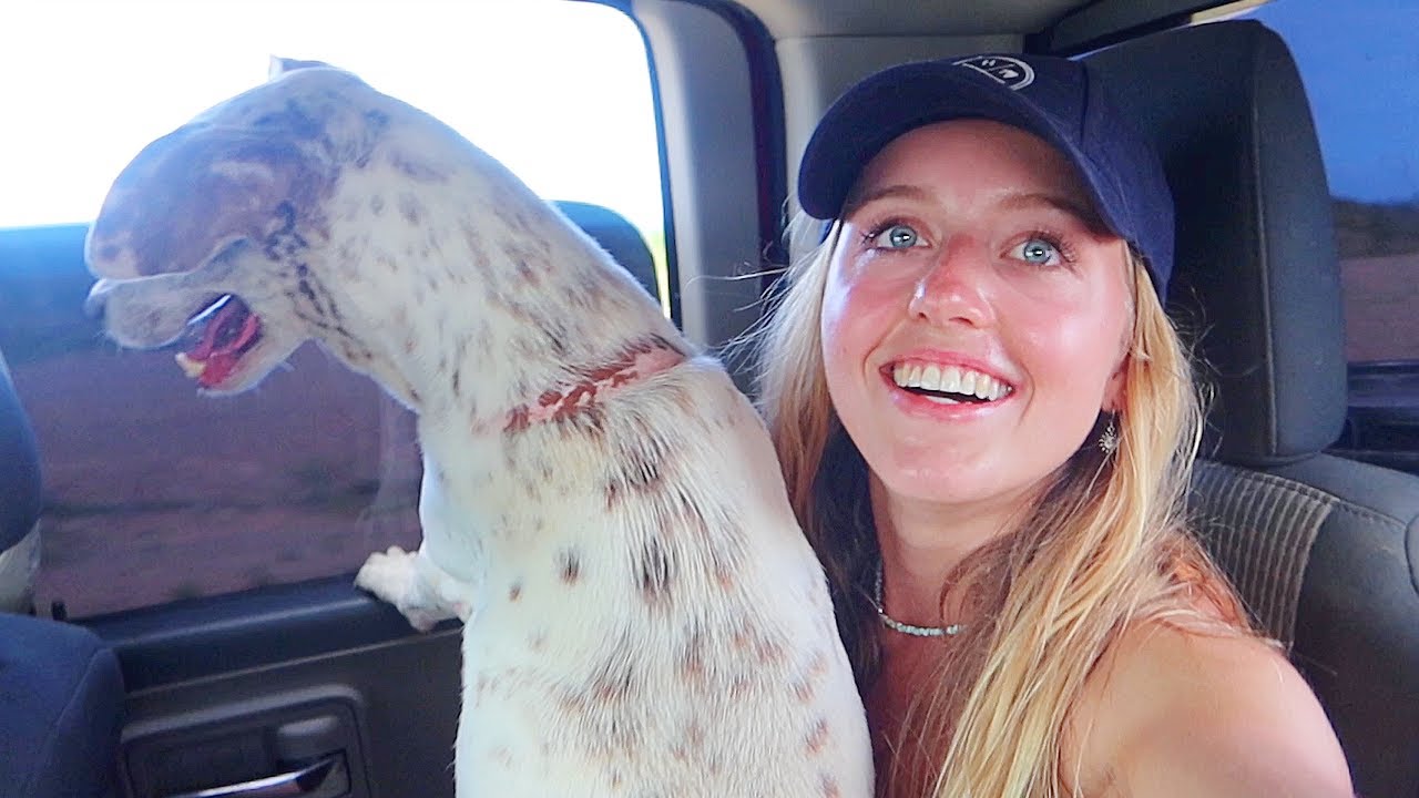 HOND REDDEN van STRAAT! 😍 🐕 - YouTube