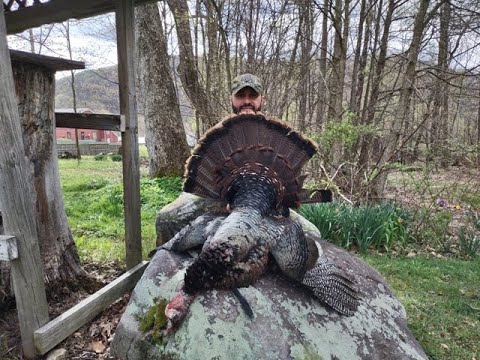 PA Special Spring Turkey Tag Filled On The Second Day Of The Season ...