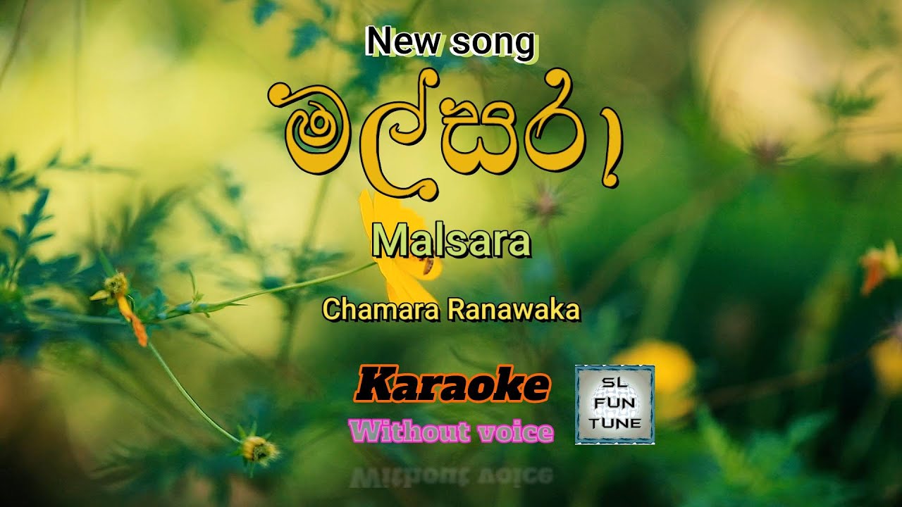 Malsara | මල්සරා- Chamara Ranawaka new song | Karaoke | Lyrics (Without ...