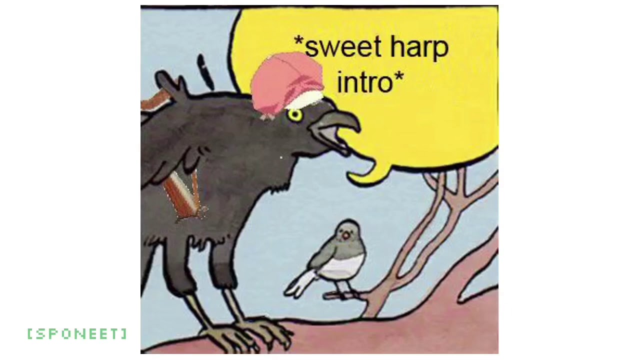 Bird and crow meme - YouTube