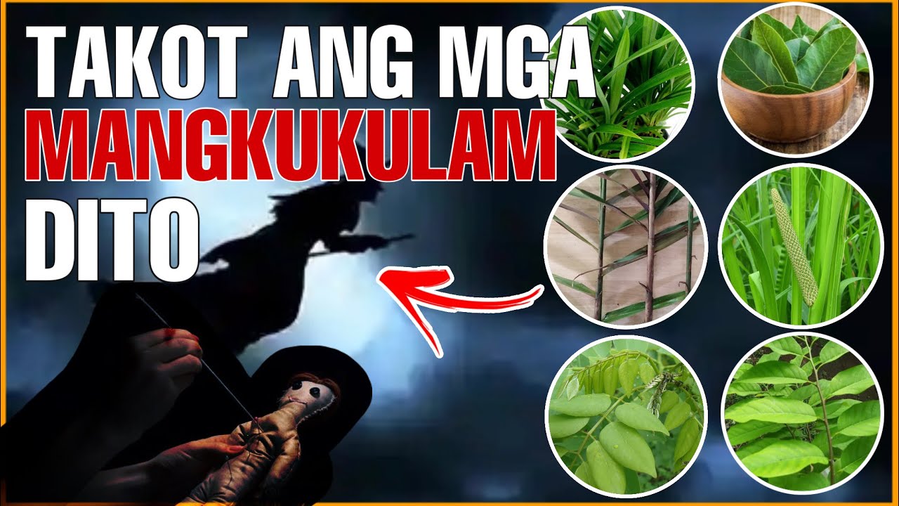 MGA HALAMAN NA KONTRA KULAM AT BAD ELEMENTS | Bhes Tv - YouTube