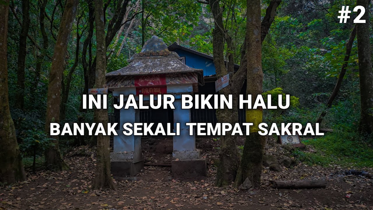 AREA CAMP TERSAKRAL - PENDAKIAN GUNUNG ARJUNO VIA PURWOSARI #2 - YouTube