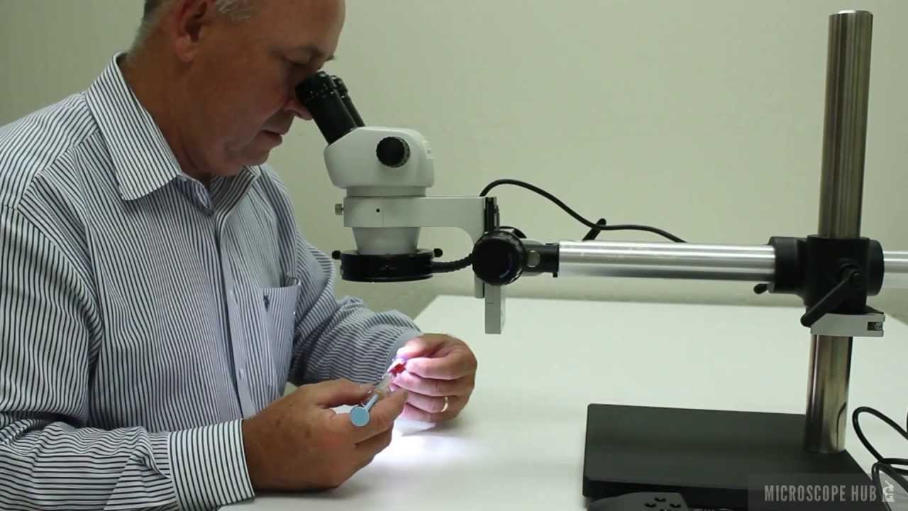 ELZ-P1 Medical Device Inspection Stereo Microscope Overview - YouTube