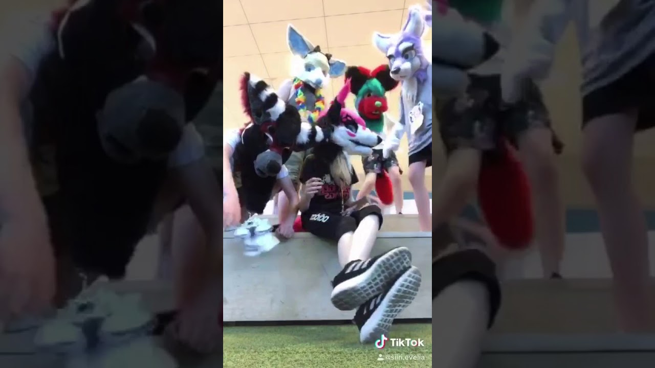 Furry meetup 17.6 2020 videos - YouTube