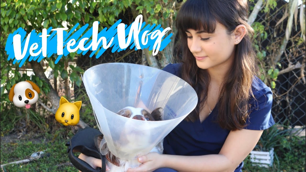 Evening Routine Of A Vet Tech | Veterinary Vlog - YouTube
