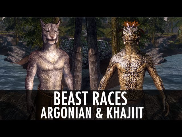 Skyrim Beast Race Mods