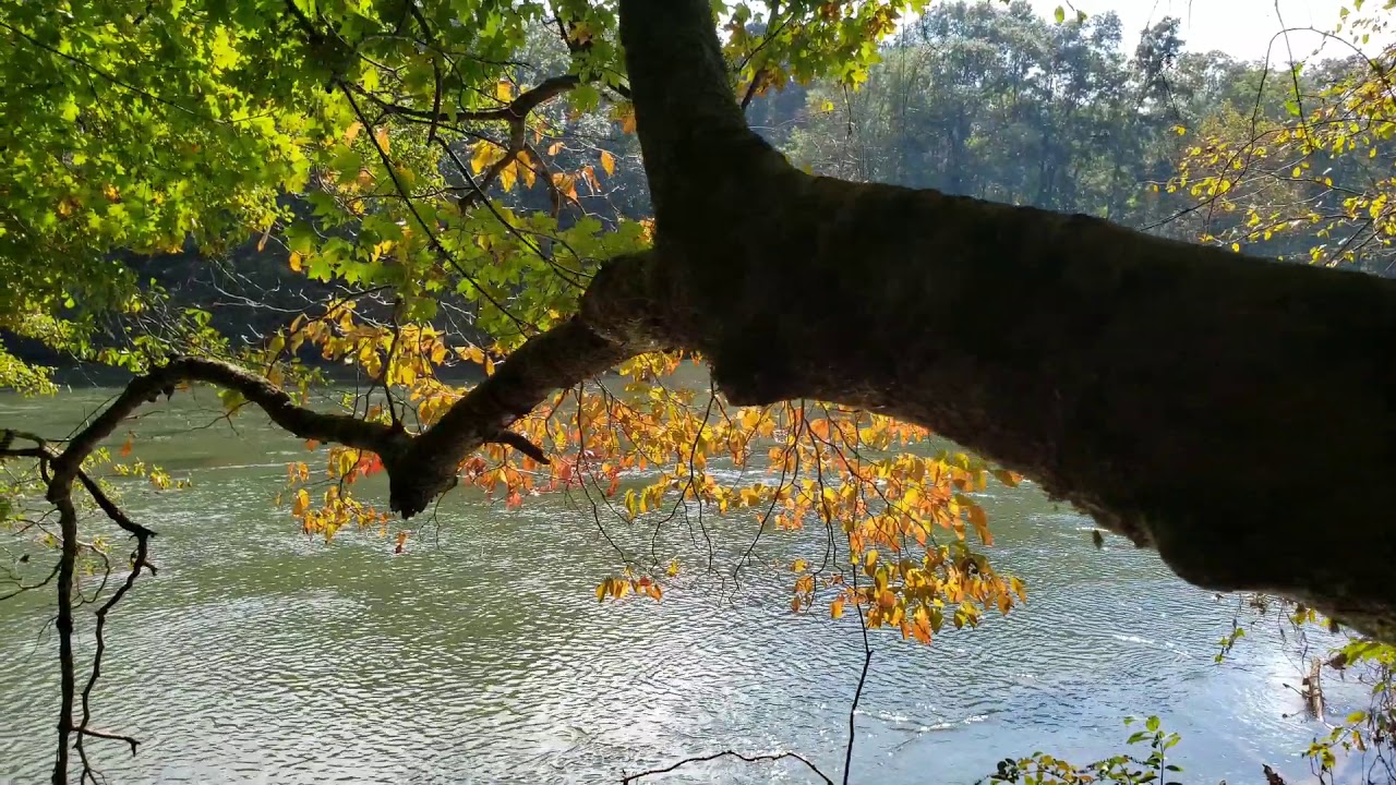 #ExploreGeorgia: Chattahoochee River National Recreational Area - Johns ...