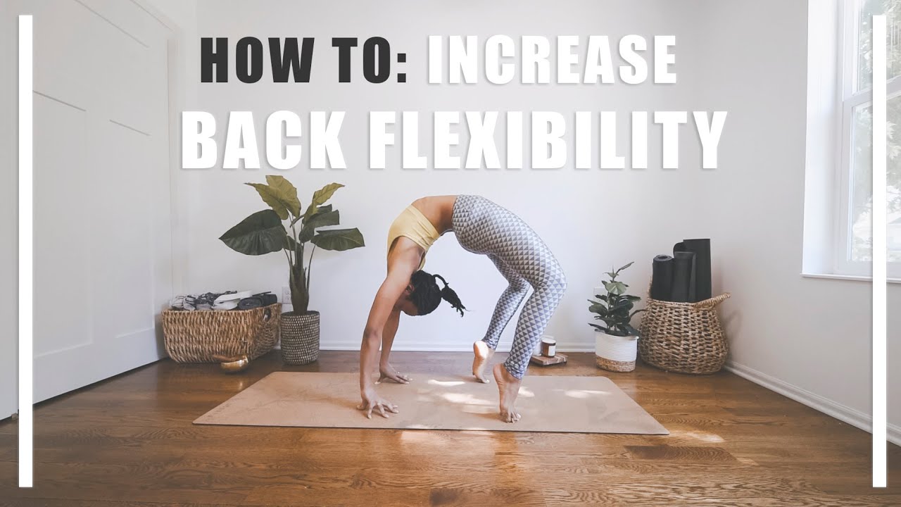 HOW TO: Increase your BACK FLEXIBILTY for Beginners! - YouTube