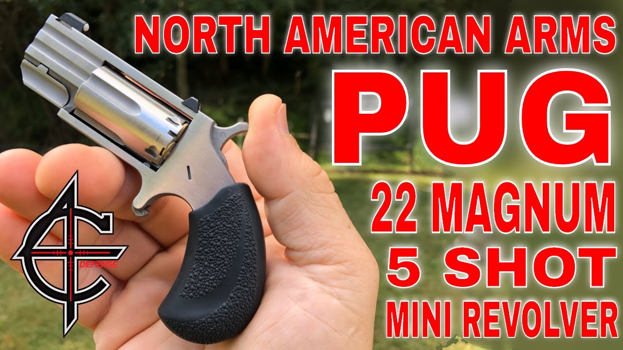 NAA 22 Magnum | PUG - YouTube