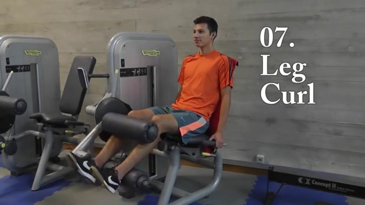 07. Leg Curl - YouTube