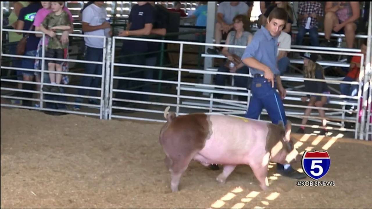 2016 Josephine County Fair kicks off - YouTube