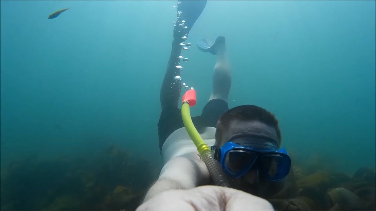 Snorkle freediving at Kimmeridge bay Dorset uk - YouTube