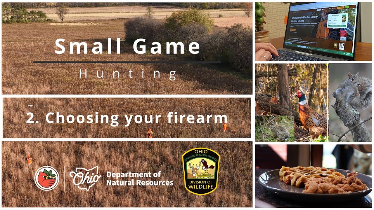 Small Game Hunting Episode 2 - Choosing Your Firearm - YouTube