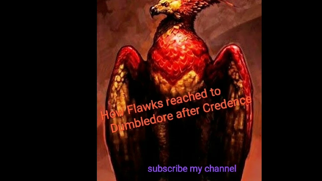 How Dumbledore got his Phoenix fawkes. From where did it come from ...