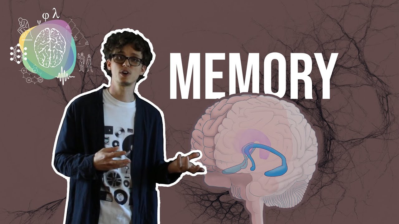 How do we remember? An overview of Long Term Memory - YouTube