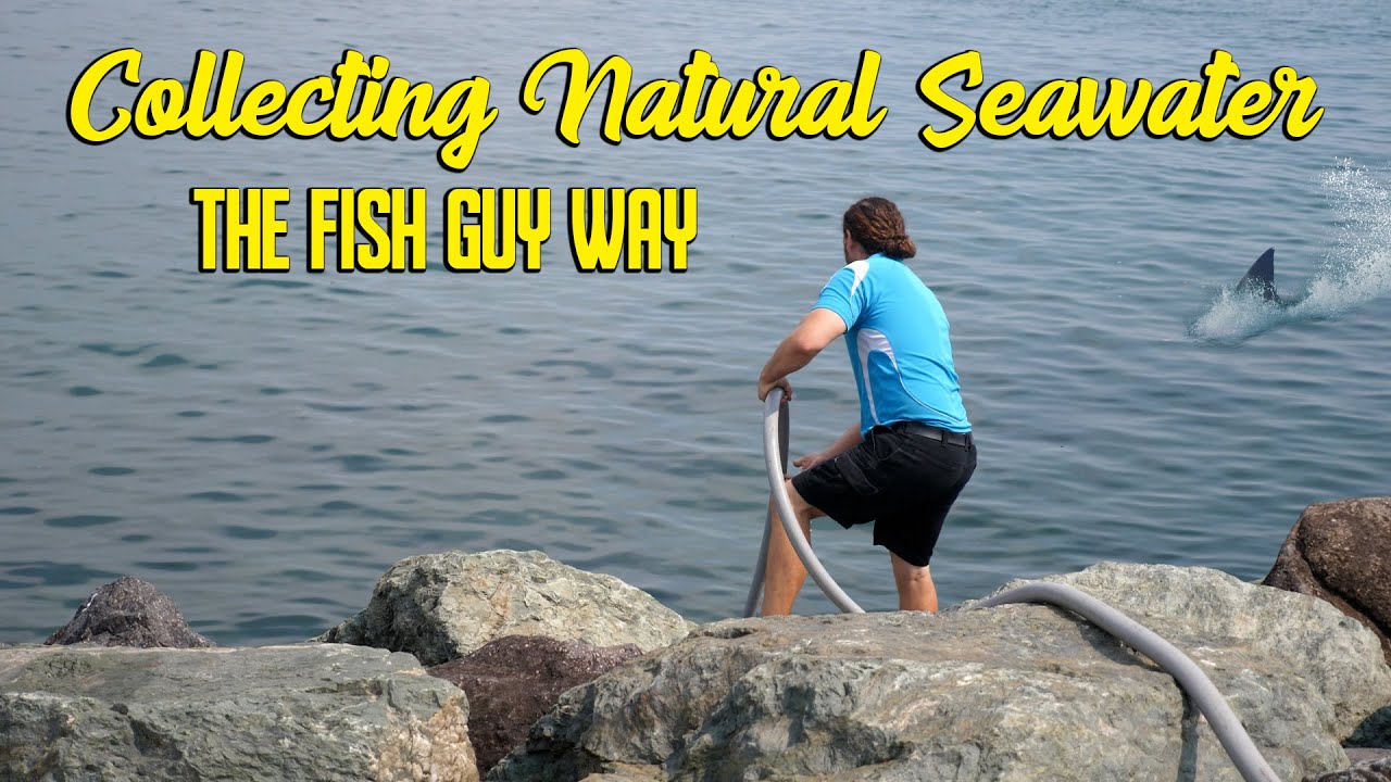 Collecting Natural Seawater The Fish Guy Way - YouTube