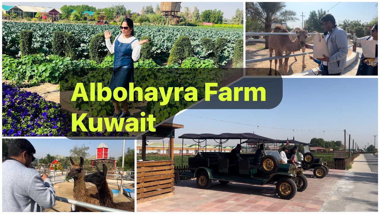 Trip to Abdali EP-2 ||Kuwait Diaries ||Al Albohayra Farm ||Domestic ...
