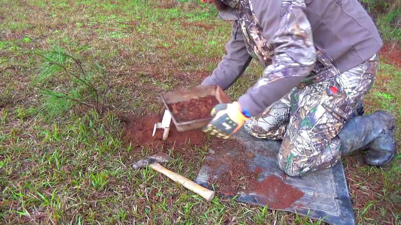 Fox trapping - YouTube