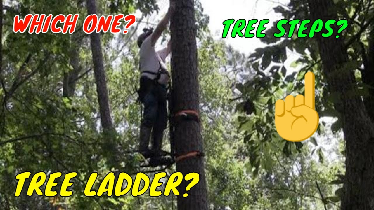 TREE LADDER VS TREE STEPS - YouTube