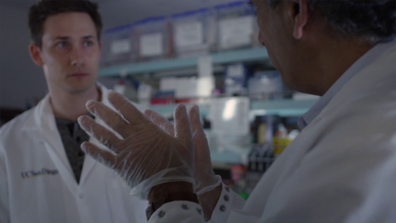 Eliminating Malaria by Ethan Bier, PhD - YouTube