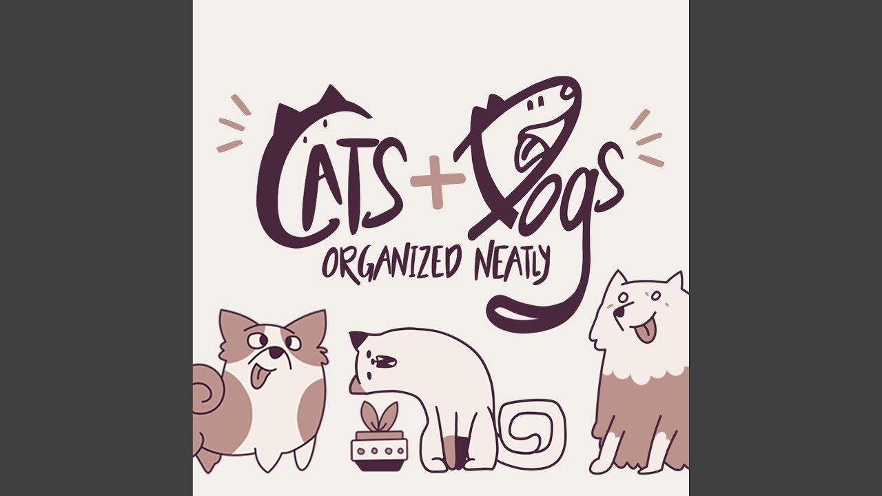 Cats Organized Neatly: Gameplay - YouTube