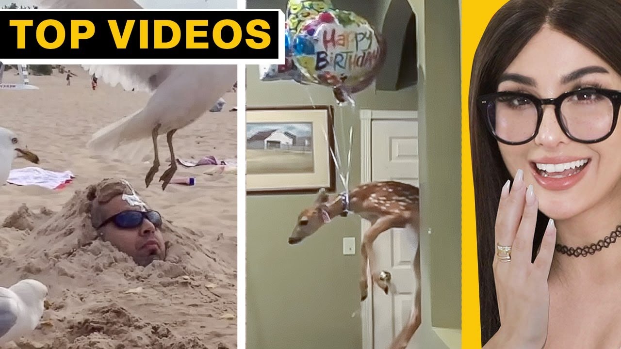 Funniest Moments That Will Brighten Your Day! | SSSniperWolf - YouTube