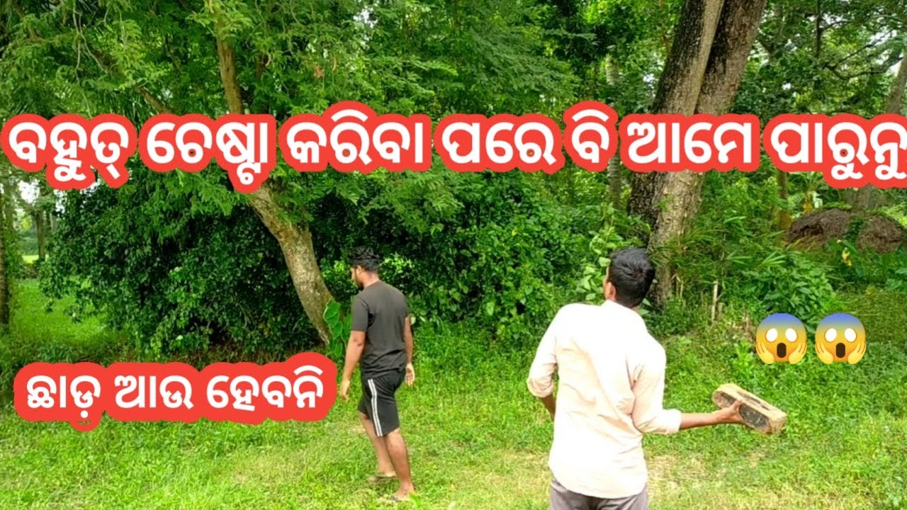ଛାଡ଼ ଆଉ ହେବନି || Mr dev Vlog || Village Vlogs - YouTube