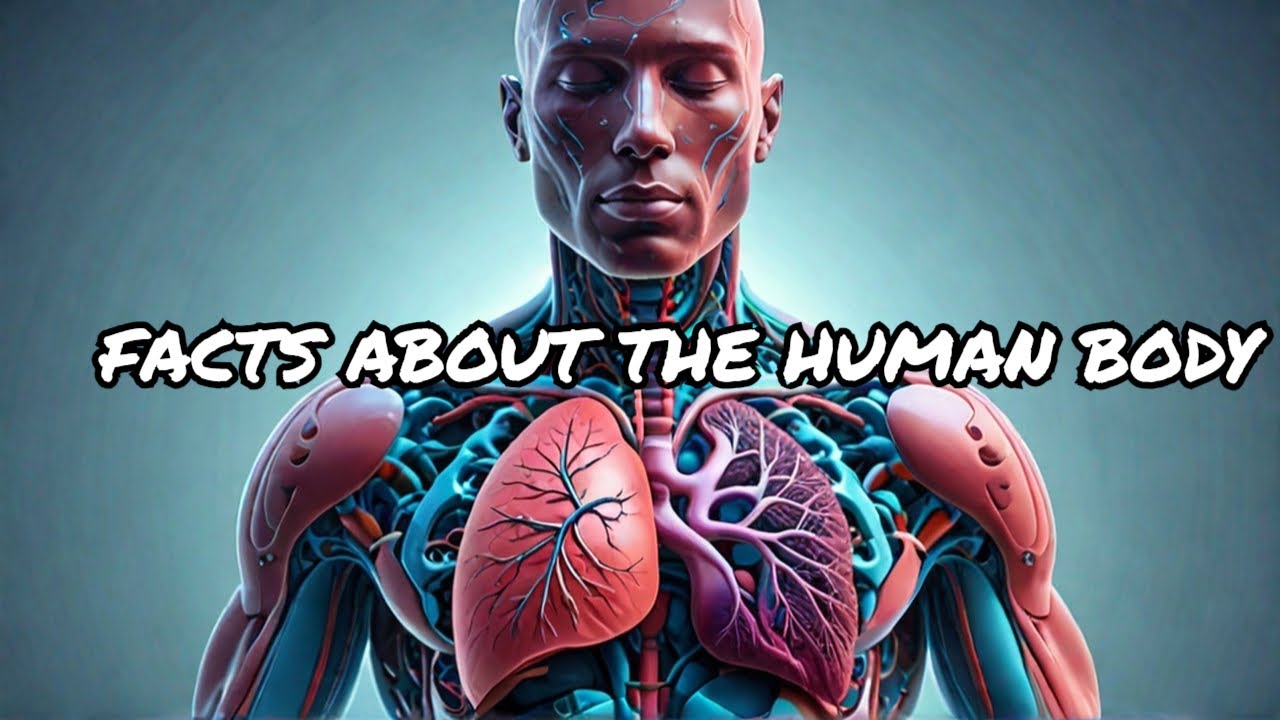 Facts About the Human Body You Didn’t Know! - YouTube