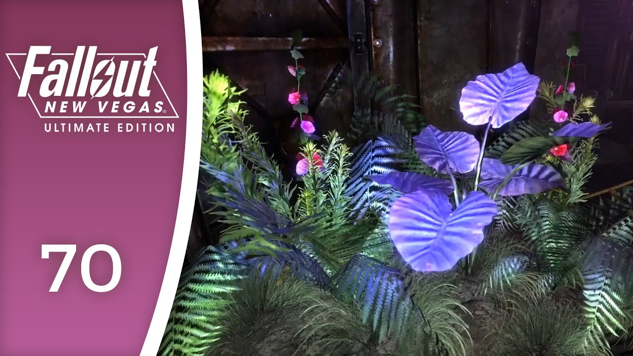 Vault 22's lovely flower - Let's Play Fallout: New Vegas (with ...