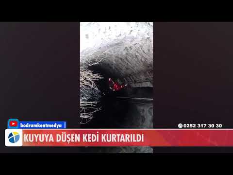 KUYUYA DÜŞEN KEDİ KURTARILDI