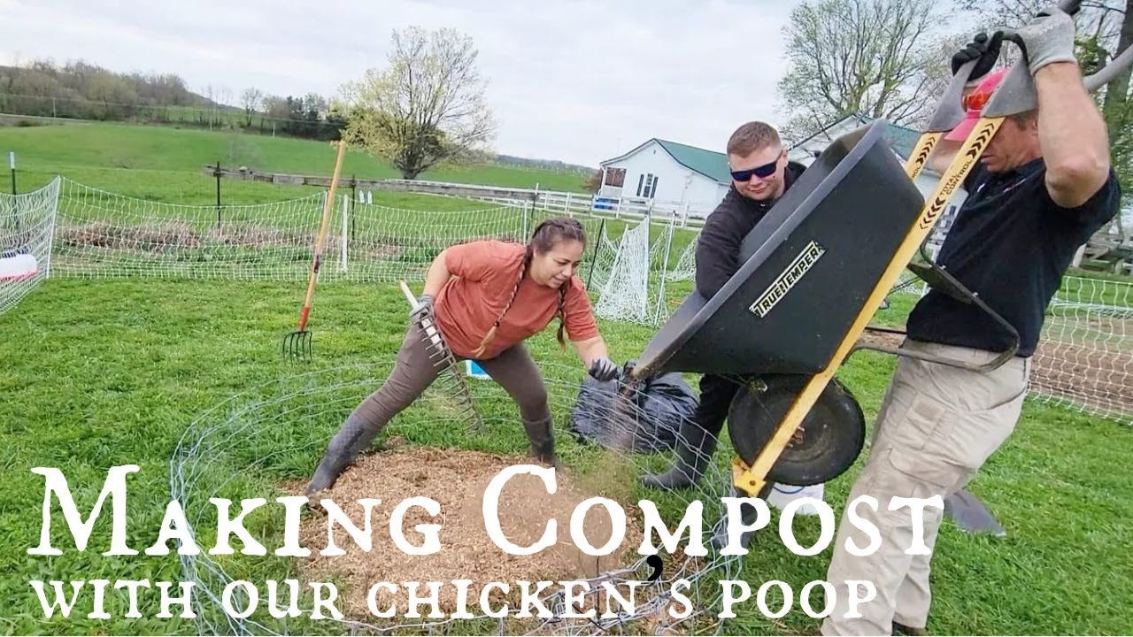 CHICKENS MOVING DAY - YouTube