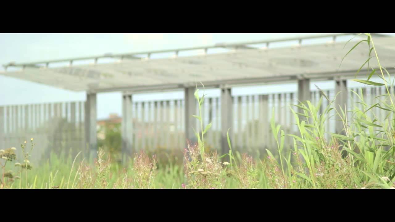 Fr. Collins Park Intro - YouTube