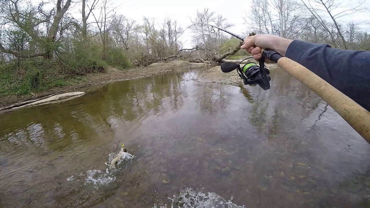Wading For Trout In a CLEAR Creek! Limited Out! - YouTube