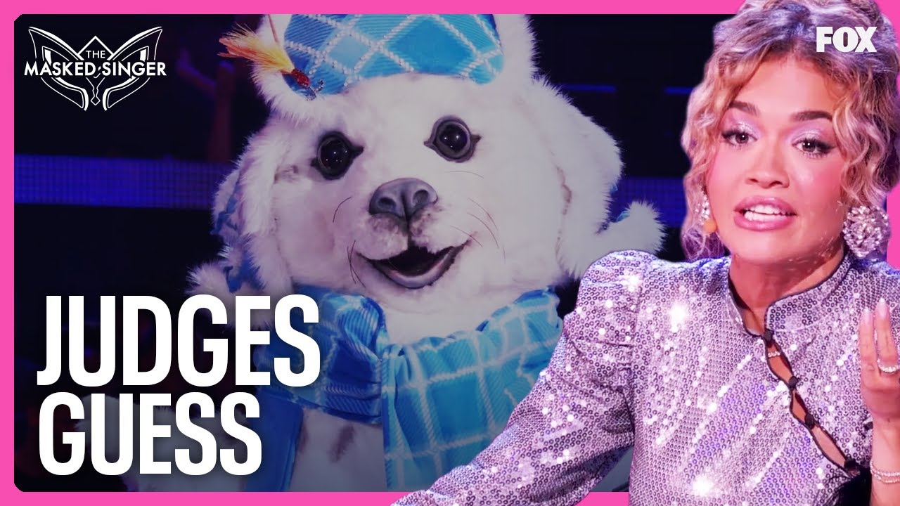 Judges Guess for Seal | Season 11 | The Masked Singer - YouTube