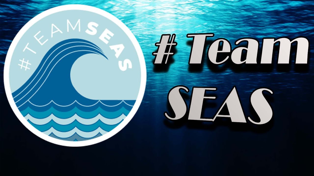 Team Seas Awareness Video! - YouTube