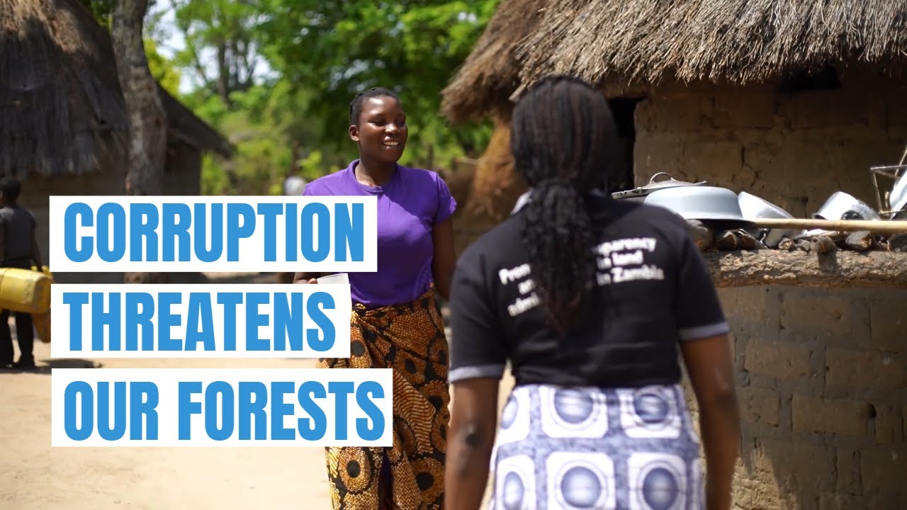 Corruption threatens our forests | Transparency International - YouTube