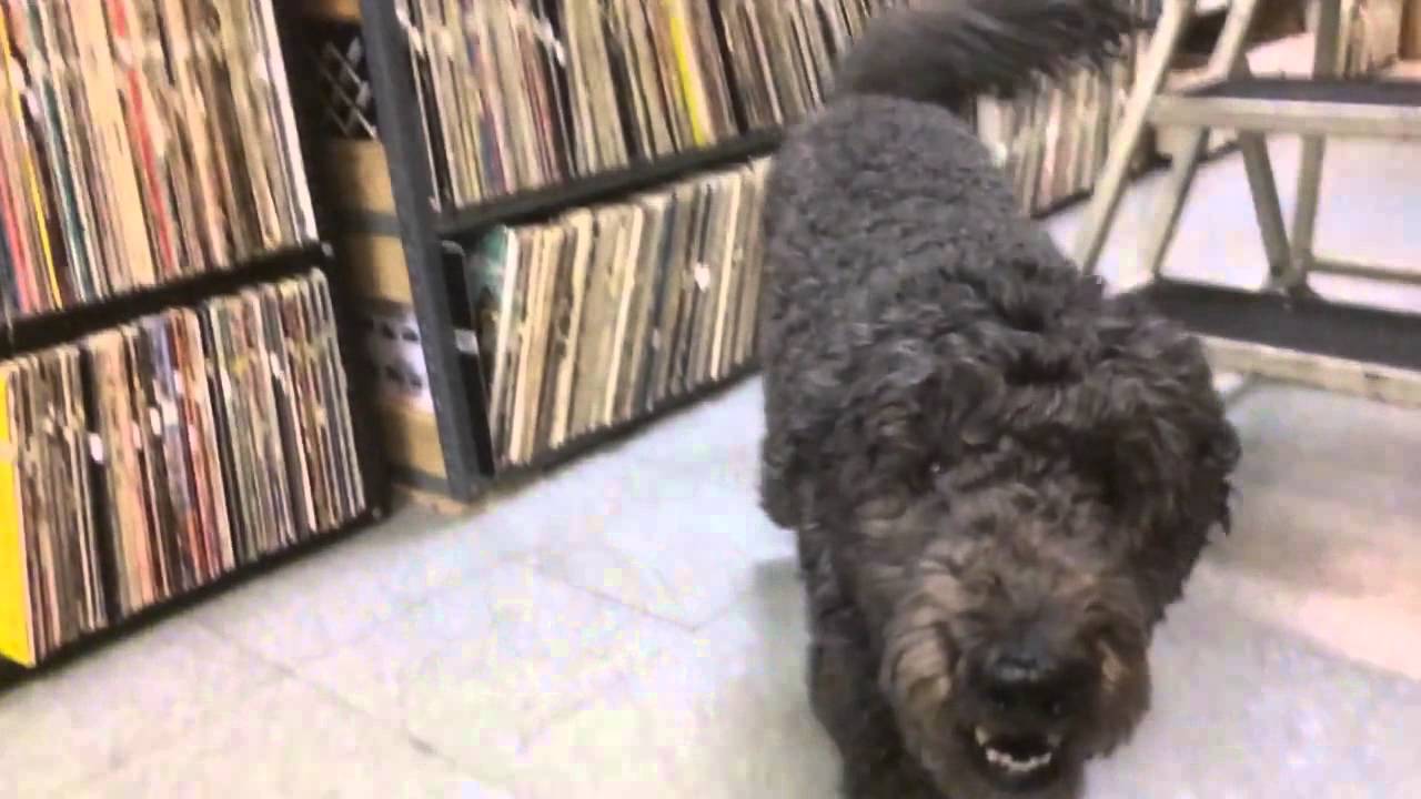 Slow-Motion Ted Monster - YouTube