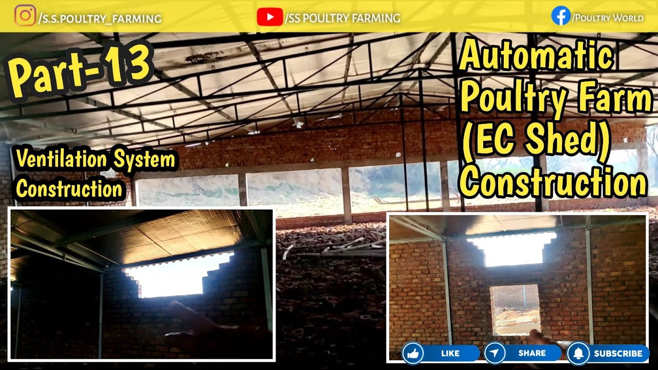 Part-13, Automatic Poultry Farm(EC Shed) construction,ऑटोमैटिक पोल्ट्री ...