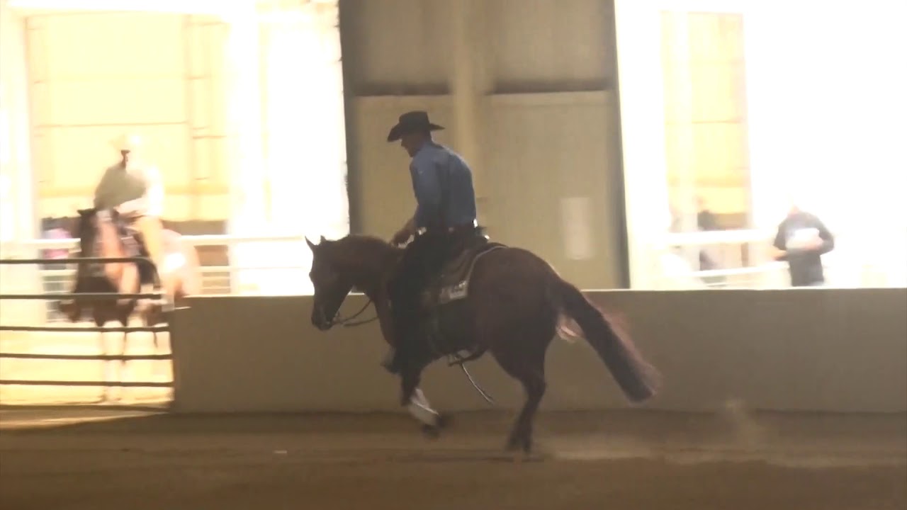 050518 NOVICE Jeremy Gates on Twelve Little Steps - YouTube