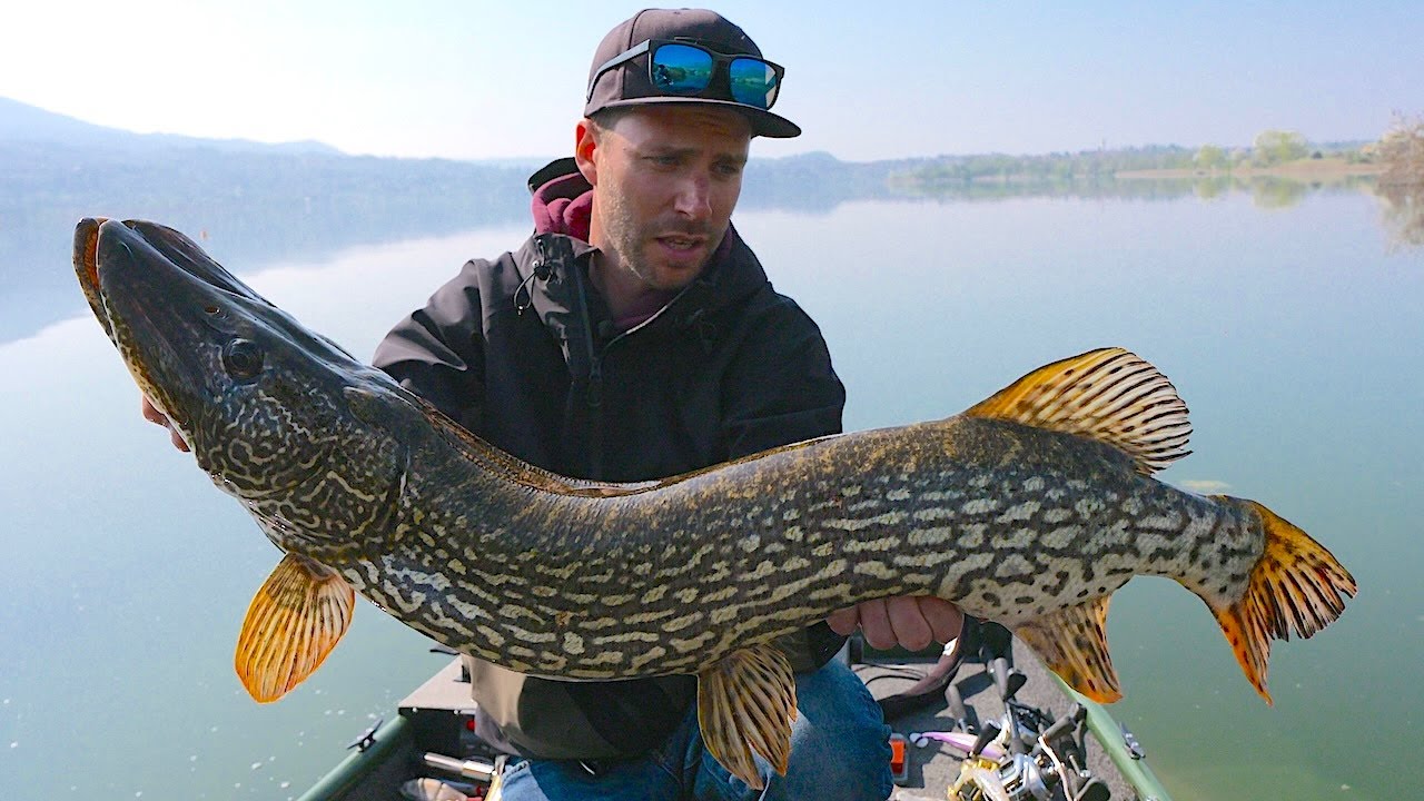 Pesca al LUCCIO TOP WATER - Post Spawn Pike Fishing - YouTube
