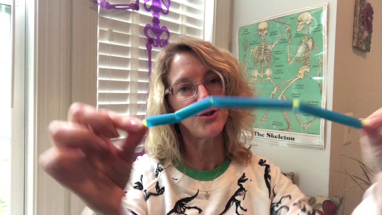 PRESCHOOL LESSON: Science & Songs bones - YouTube